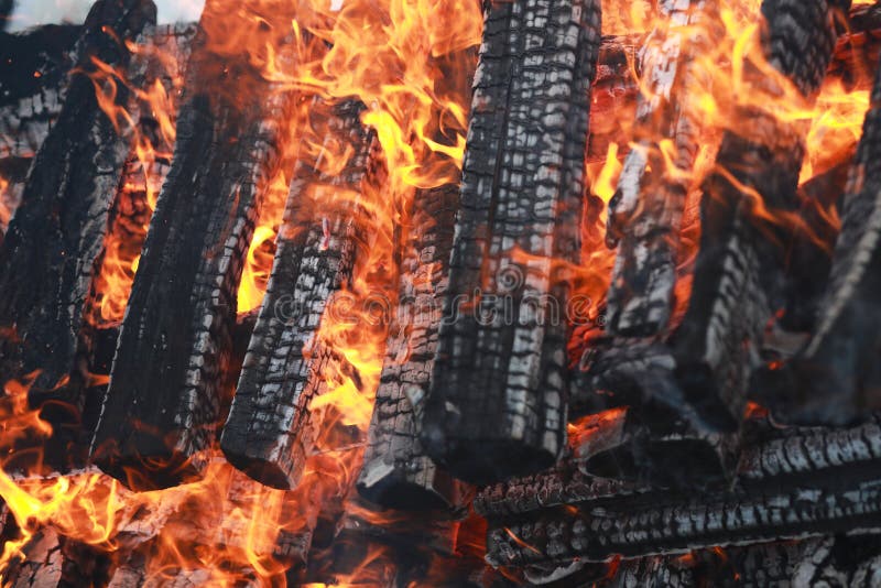 Wooden Logs Burn with a Bright Flame in the Fire Stock Photo - Image of ...