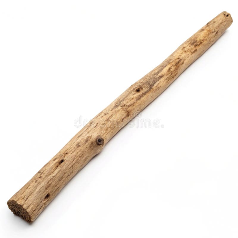 Dry Wooden Stick Isolated on Transparent Background Stock Illustration ...