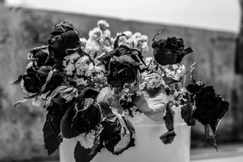 Dry World stock photo. Image of oldman, thinker, asia - 98448498