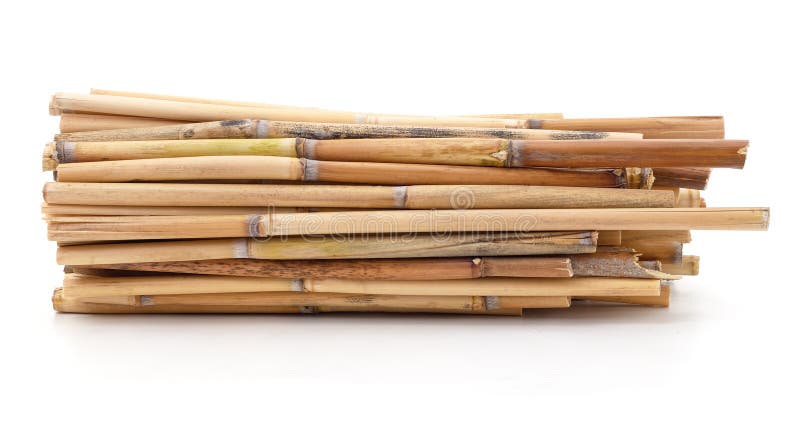 Dry yellow cane stock image. Image of cane, orange, natural - 267232977