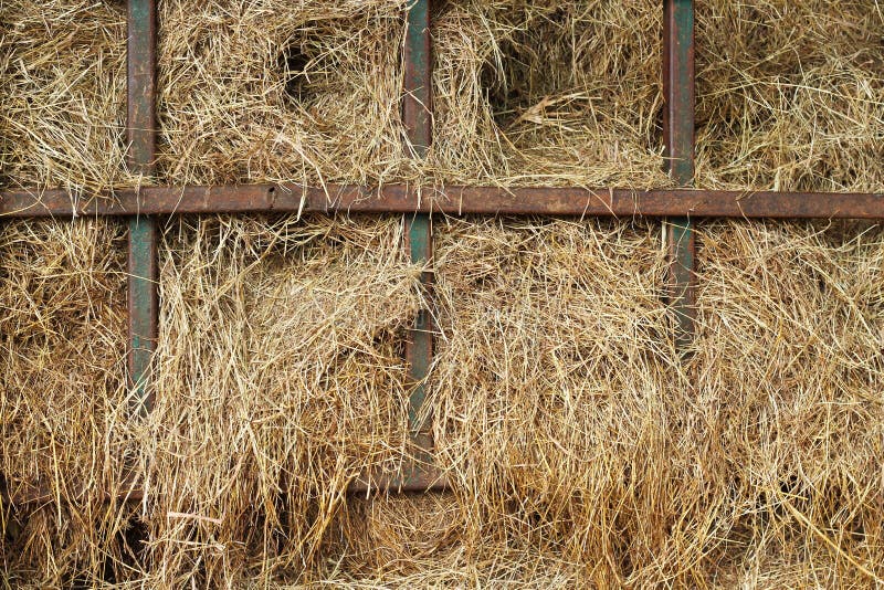56,963 Yellow Hay Photos - Free & Royalty-Free Stock Photos from Dreamstime