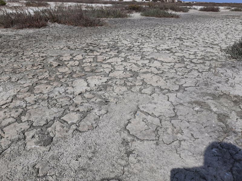 Dry Zone Land Scape in Sri Lanka Stock Photo - Image of geology, soil ...