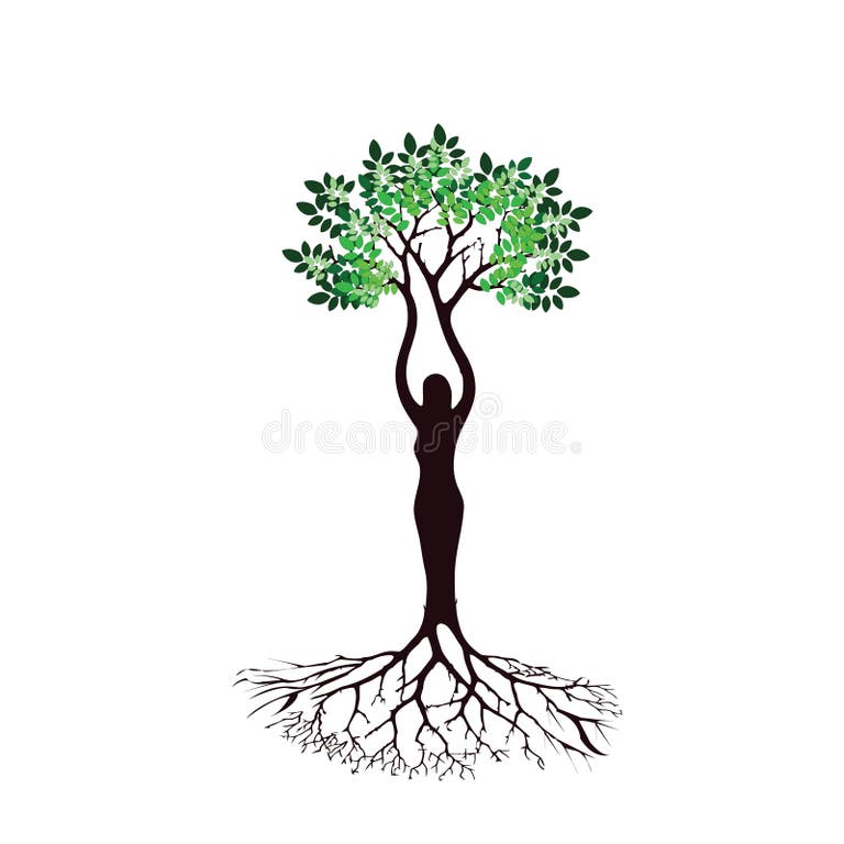 Dryad Tree Stock Illustrations – 199 Dryad Tree Stock Illustrations ...