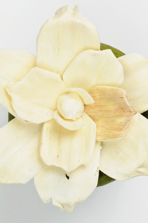 7,473 Gardenia Flower Sanskrit Stock Photos - Free & Royalty-Free Stock ...