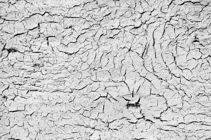 Dryed Land Background stock photo. Image of cracked, pattern - 59989046