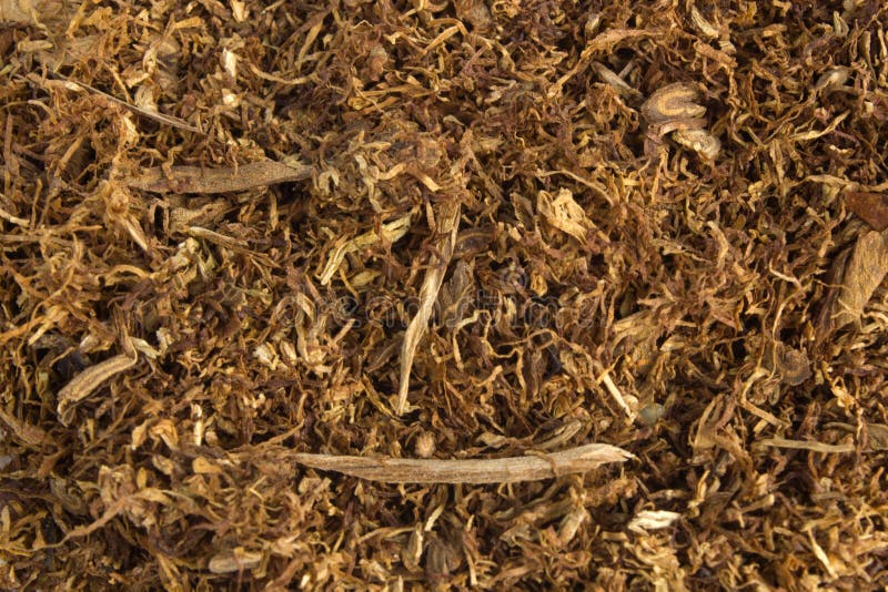 Dryed Tobacco Leave Texture Stock Image - Image of loose, herb: 52028383
