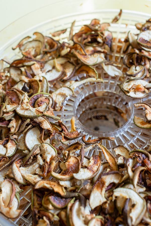 Drying Apples in the Fruit Drying Machine Stock Image - Image of diet ...