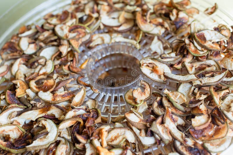 Drying Apples in the Fruit Drying Machine Stock Photo - Image of ...