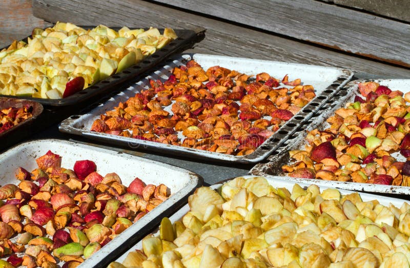 Drying apples in the sun. stock image. Image of dessert - 291564237
