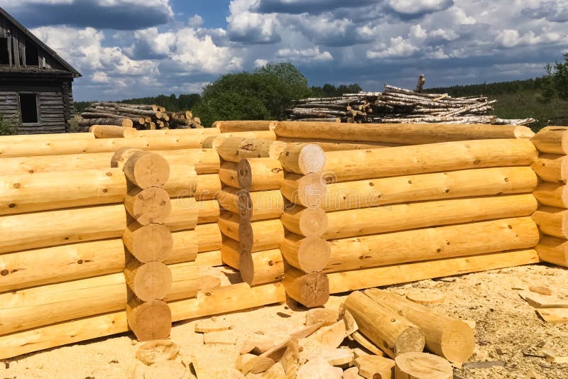Drying and Assembly of Wooden Log House at a Construction Base Stock ...