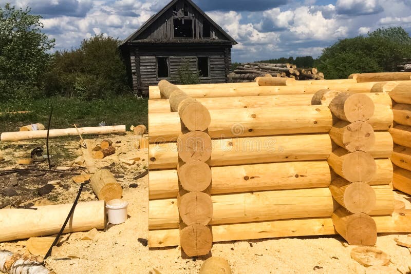 Drying and Assembly of Wooden Log House at a Construction Base Stock ...