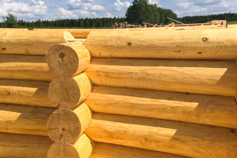Drying and Assembly of Wooden Log House at a Construction Base Stock ...