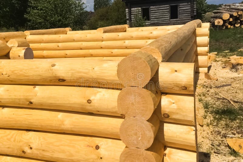 Drying and Assembly of Wooden Log House at a Construction Base Stock ...