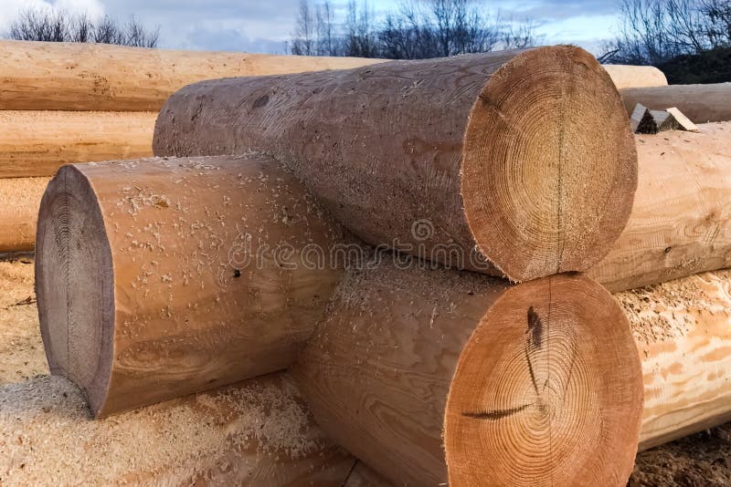 Drying and Assembly of Wooden Log House at a Construction Base Stock ...