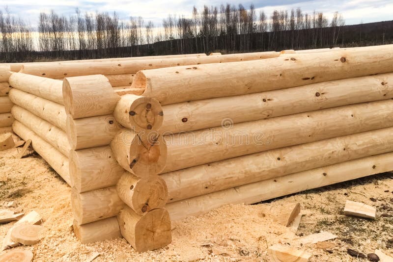 Drying and Assembly of Wooden Log House at a Construction Base Stock ...