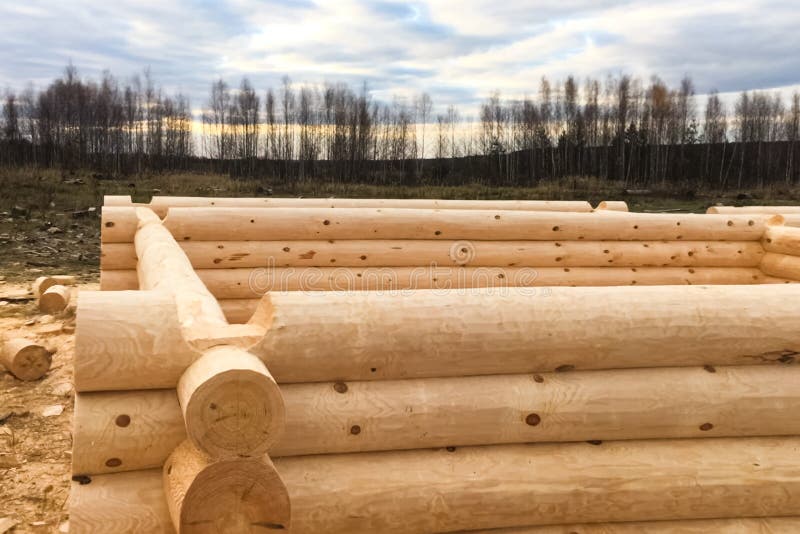 Drying and Assembly of Wooden Log House at a Construction Base Stock ...