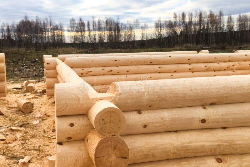 Drying and Assembly of Wooden Log House at a Construction Base Stock ...