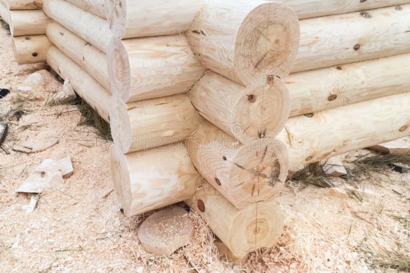 Drying and Assembly of Wooden Log House at a Construction Base Stock ...