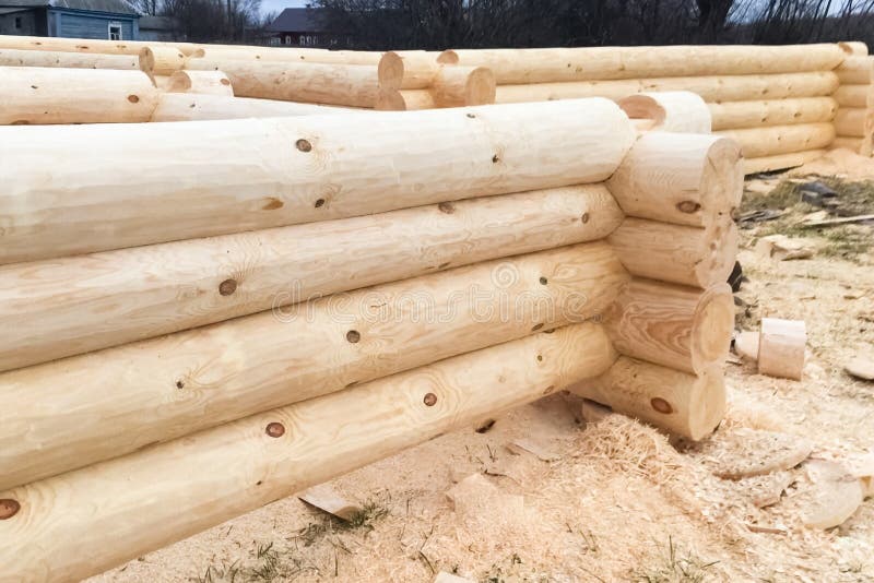 Drying and Assembly of Wooden Log House at a Construction Base Stock ...