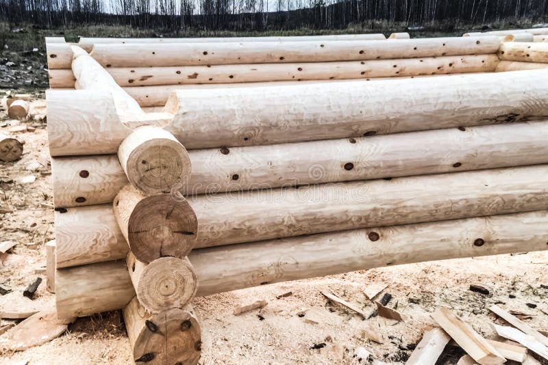 Drying and Assembly of Wooden Log House at a Construction Base Stock ...