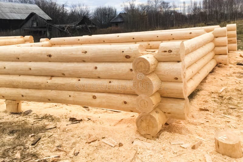Drying and Assembly of Wooden Log House at a Construction Base Stock ...