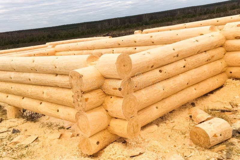 Drying and Assembly of Wooden Log House at a Construction Base Stock ...