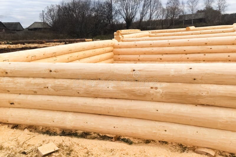 Drying and Assembly of Wooden Log House at a Construction Base Stock ...