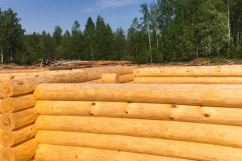 Drying and Assembly of Wooden Log House at a Construction Base Stock ...