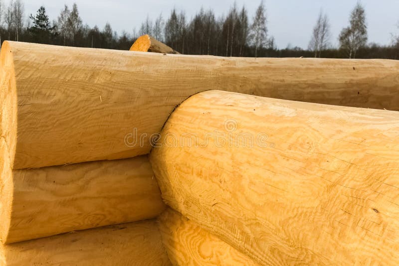 Drying and Assembly of Wooden Log House at a Construction Base Stock ...