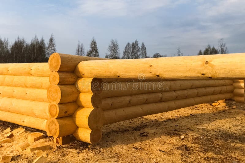 Drying and Assembly of Wooden Log House at a Construction Base Stock ...