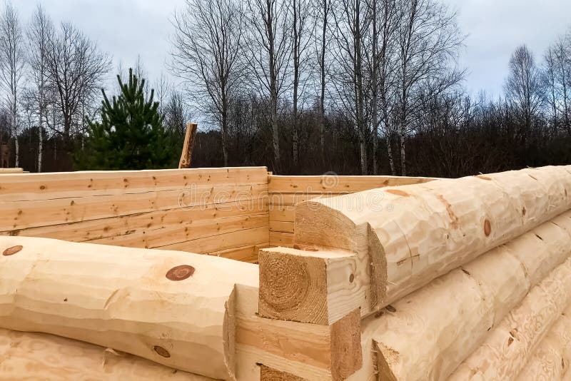 Drying and Assembly of Wooden Log House at a Construction Base Stock ...