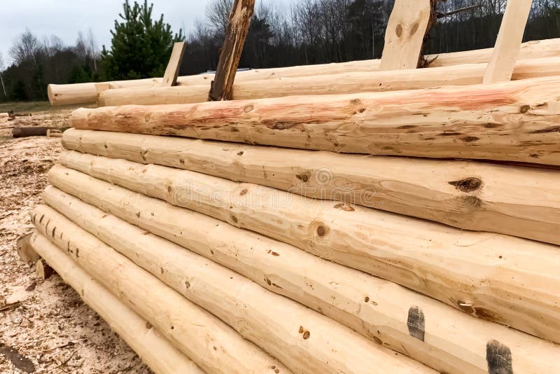 Drying and Assembly of Wooden Log House at a Construction Base Stock ...