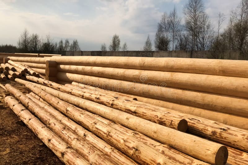 Drying and Assembly of Wooden Log House at a Construction Base Stock ...