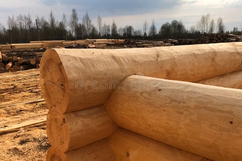 Drying and Assembly of Wooden Log House at a Construction Base Stock ...