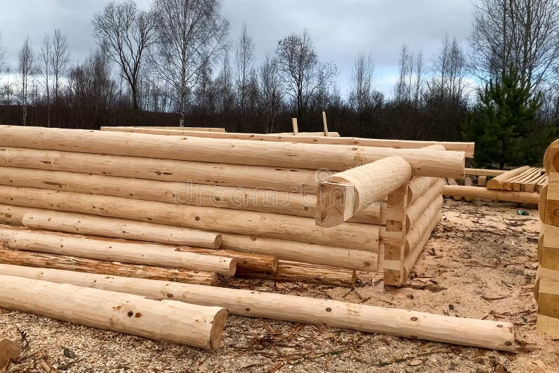 Drying and Assembly of Wooden Log House at a Construction Base Stock ...