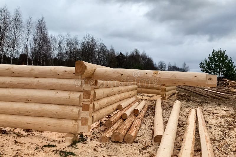 Drying and Assembly of Wooden Log House at a Construction Base Stock ...