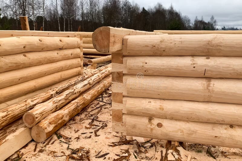 Drying and Assembly of Wooden Log House at a Construction Base Stock ...