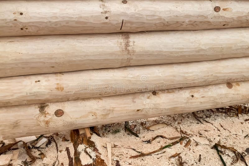Drying and Assembly of Wooden Log House at a Construction Base Stock ...