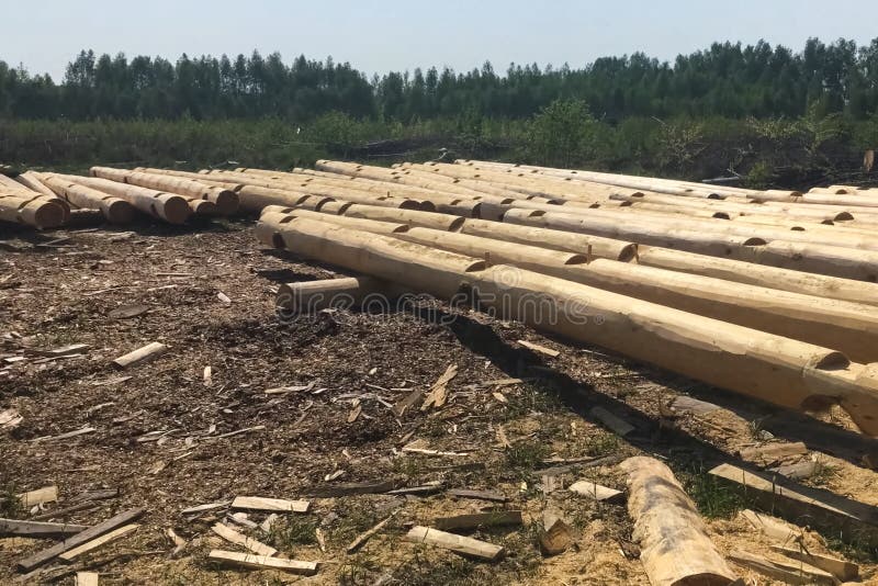 Drying and Assembly of Wooden Log House at a Construction Base Stock ...