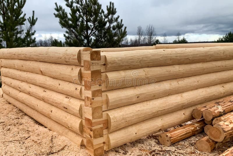 Drying and Assembly of Wooden Log House at a Construction Base Stock ...