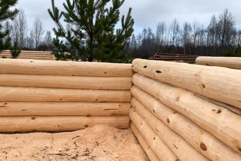 Drying and Assembly of Wooden Log House at a Construction Base Stock ...