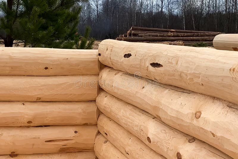 Drying and Assembly of Wooden Log House at a Construction Base Stock ...