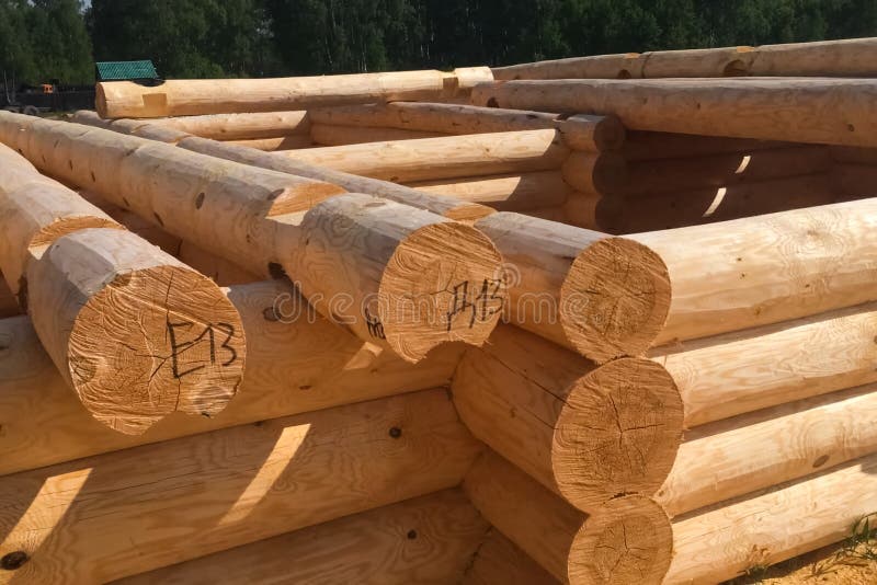 Drying and Assembly of Wooden Log House at a Construction Base Stock ...