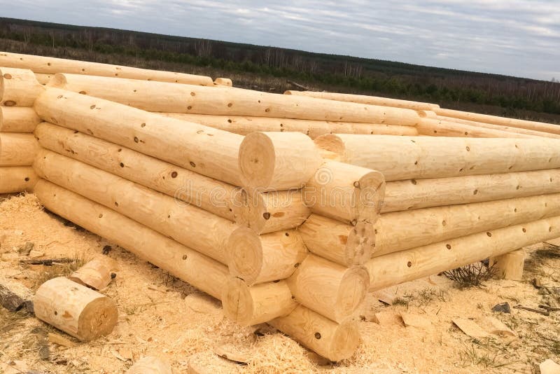 Drying and Assembly of Wooden Log House at a Construction Base Stock ...