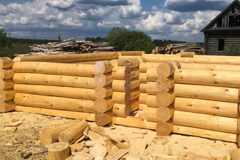 Drying and Assembly of Wooden Log House at a Construction Base Stock ...