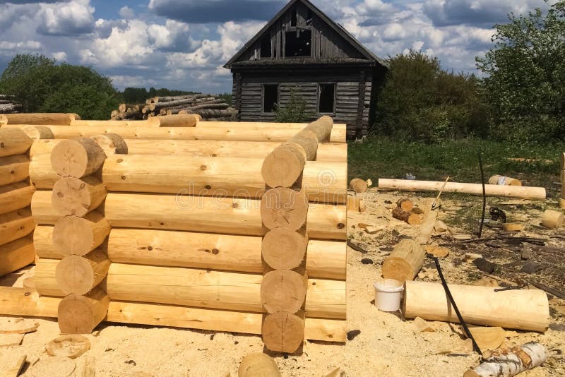 Drying and Assembly of Wooden Log House at a Construction Base Stock ...