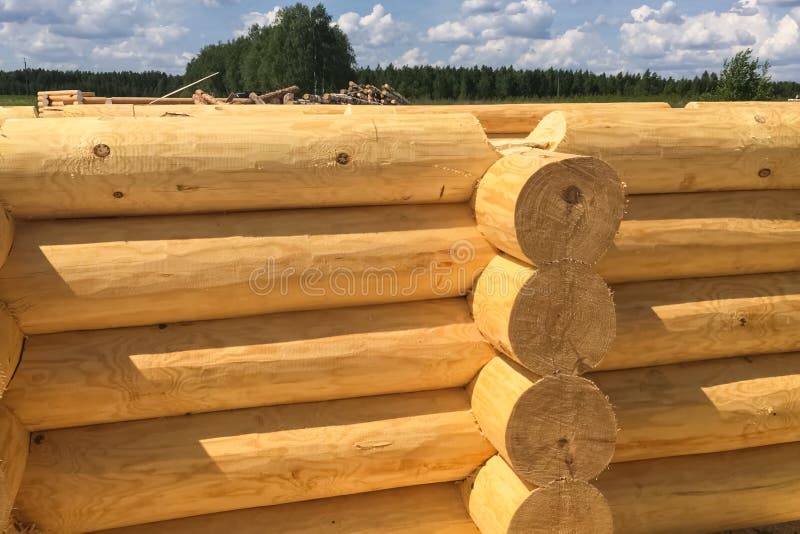 Drying and Assembly of Wooden Log House at a Construction Base Stock ...