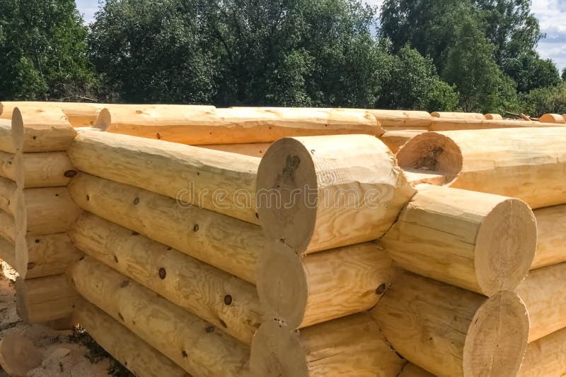 Drying and Assembly of Wooden Log House at a Construction Base Stock ...