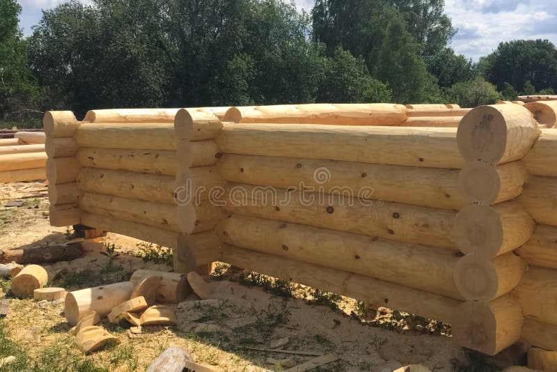 Drying and Assembly of Wooden Log House at a Construction Base Stock ...