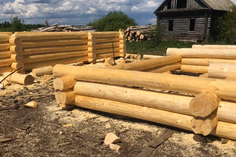 Drying and Assembly of Wooden Log House at a Construction Base Stock ...
